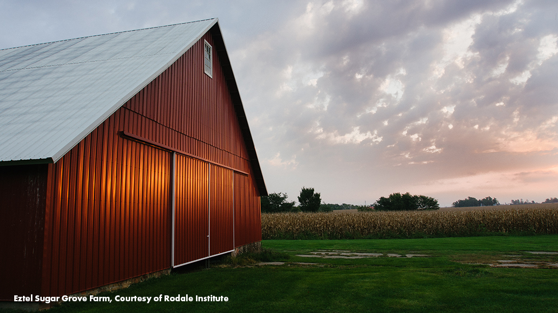OXO Partners with Rodale Institute - 1% for the Planet Nonprofit Partner